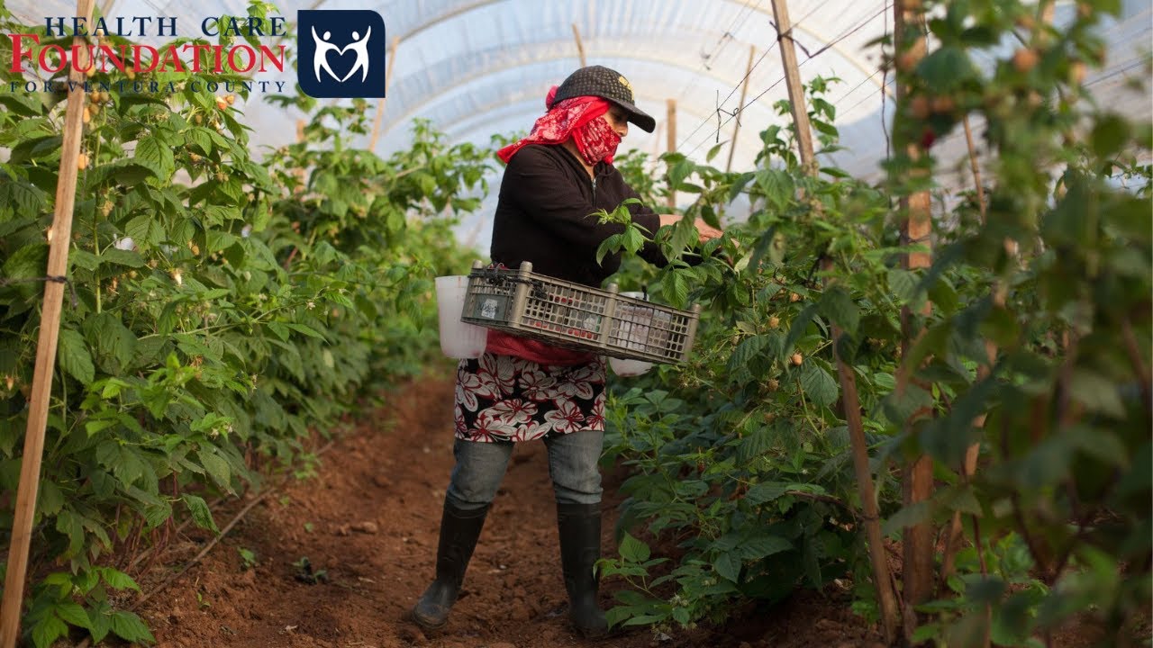 Health Care Foundation for Ventura County's McKenzie Scott Yield Giving ...