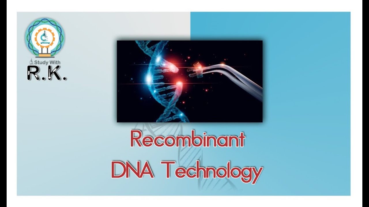 Recombinant DNA Technology | rDNA Technology | basics of Recombinant ...