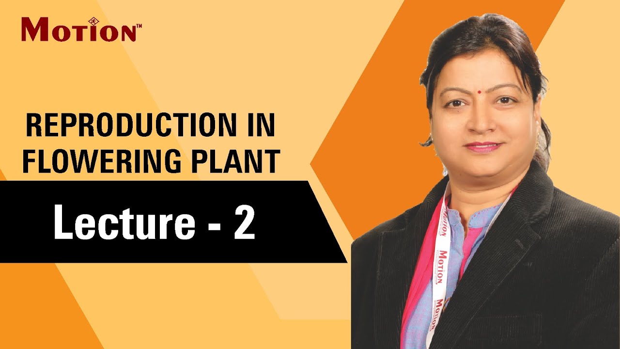 Reproduction in Flowering Plant Video Lecture of Biology by RNS Mam ...