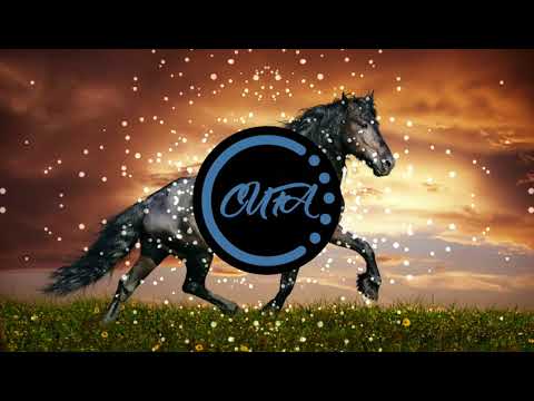 [PsyTrance] Mc Fioti - Bum Bum Tam Tam (WARRIORS Remix)