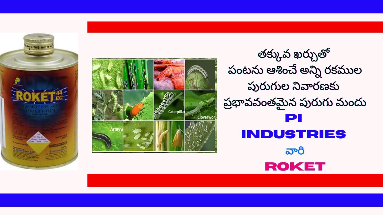 Pi Rocket Insecticide - YouTube
