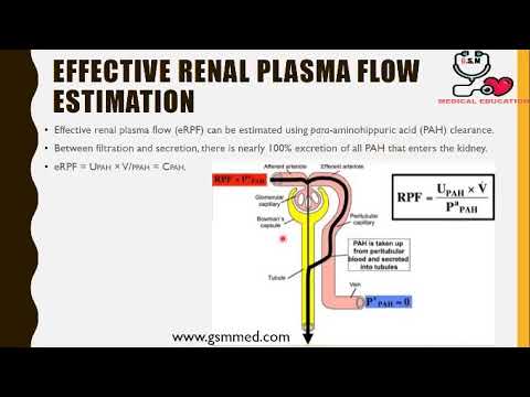 5-Effective Renal Plasma Flow 1 - YouTube