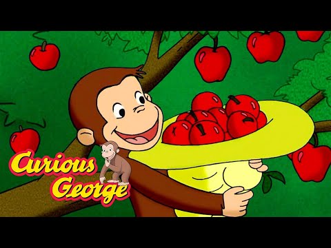 Apple Picking Monkey 🐵 Curious George 🐵 Kids Cartoon 🐵 Kids Movies
