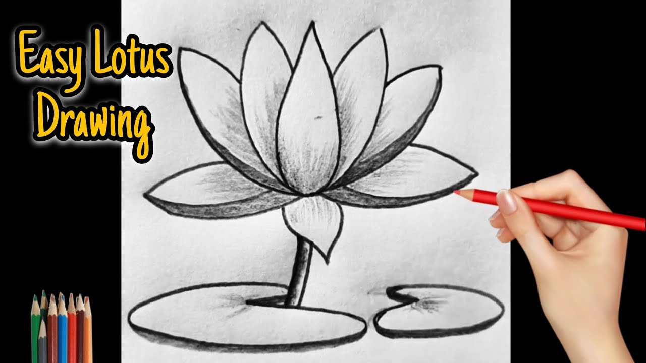 How to make a Lotus Drawing easy // How to draw a Lotus flower very ...