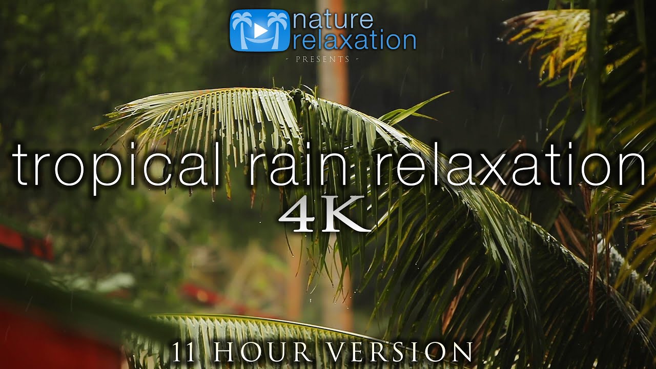 11 Hours of Tropical Rain Video + Sounds - Fiji Island Tropical Nature ...