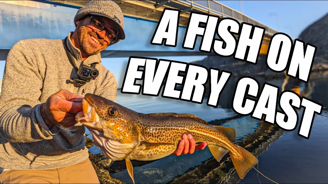 Arctic Cod Catch and Cook Adventure - YouTube