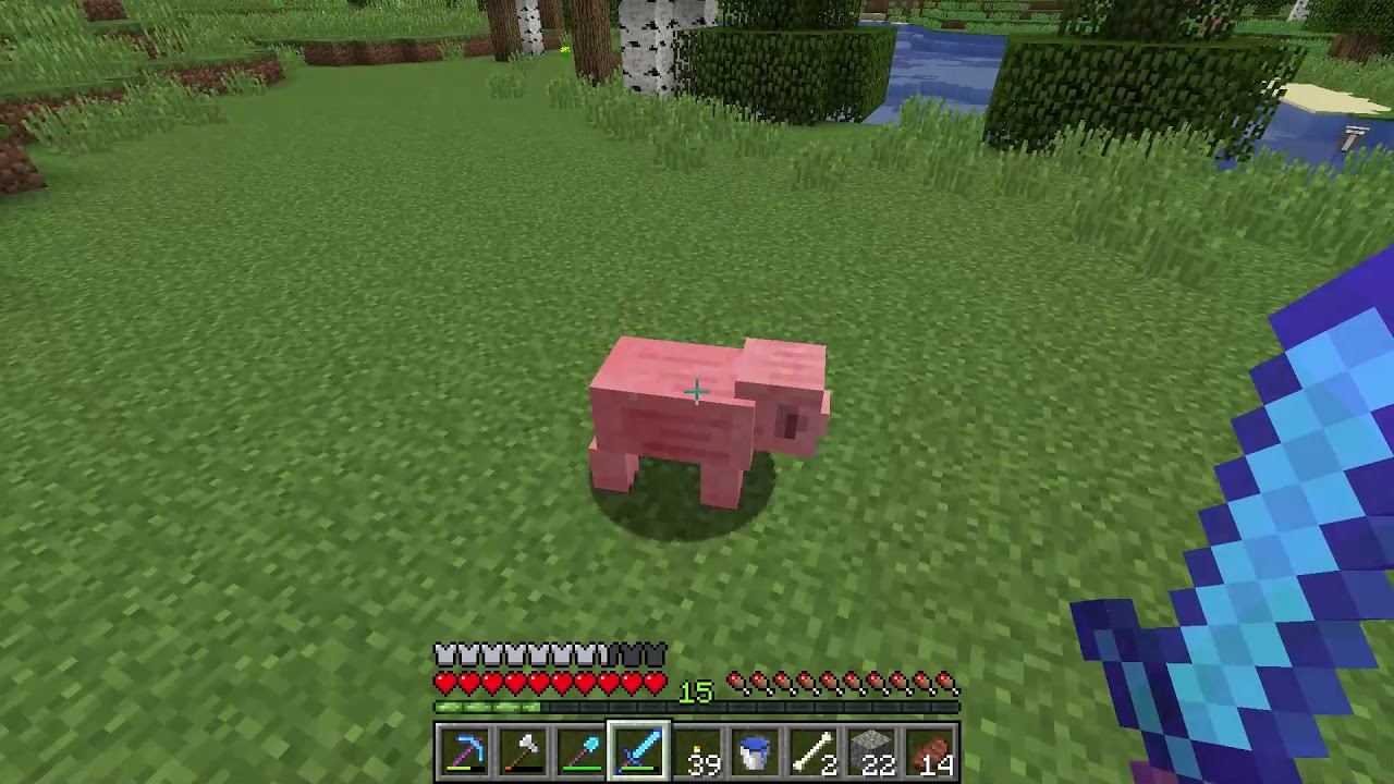 Raw Porkchop Minecraft