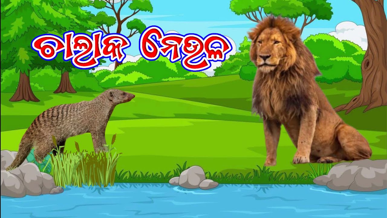 Chalak Neula Odia Stories | ଚାଲାକ ନେଉଳ | Hasa Godam | Odia Stories ...