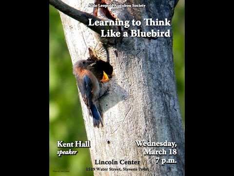 Learning to Think Like a Bluebird: Speaker: Dr. Kent Hall - YouTube