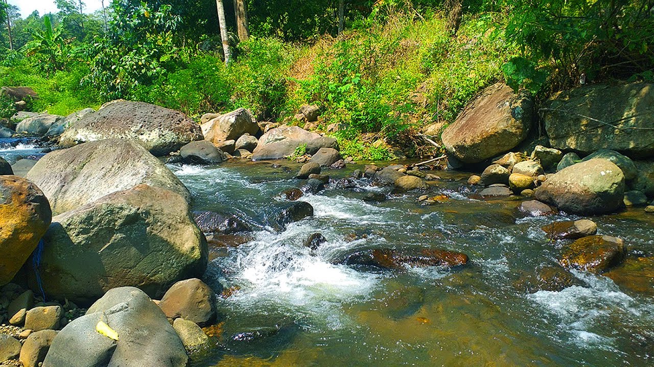 Lovely Stream Sounds for Stress Relief, Good Mood, Restful Sleep and ...