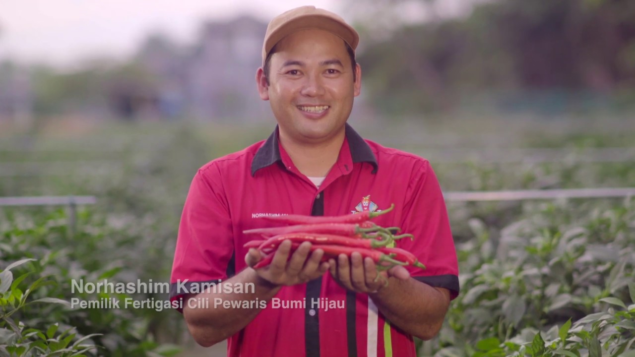 MAHA Hashim - YouTube