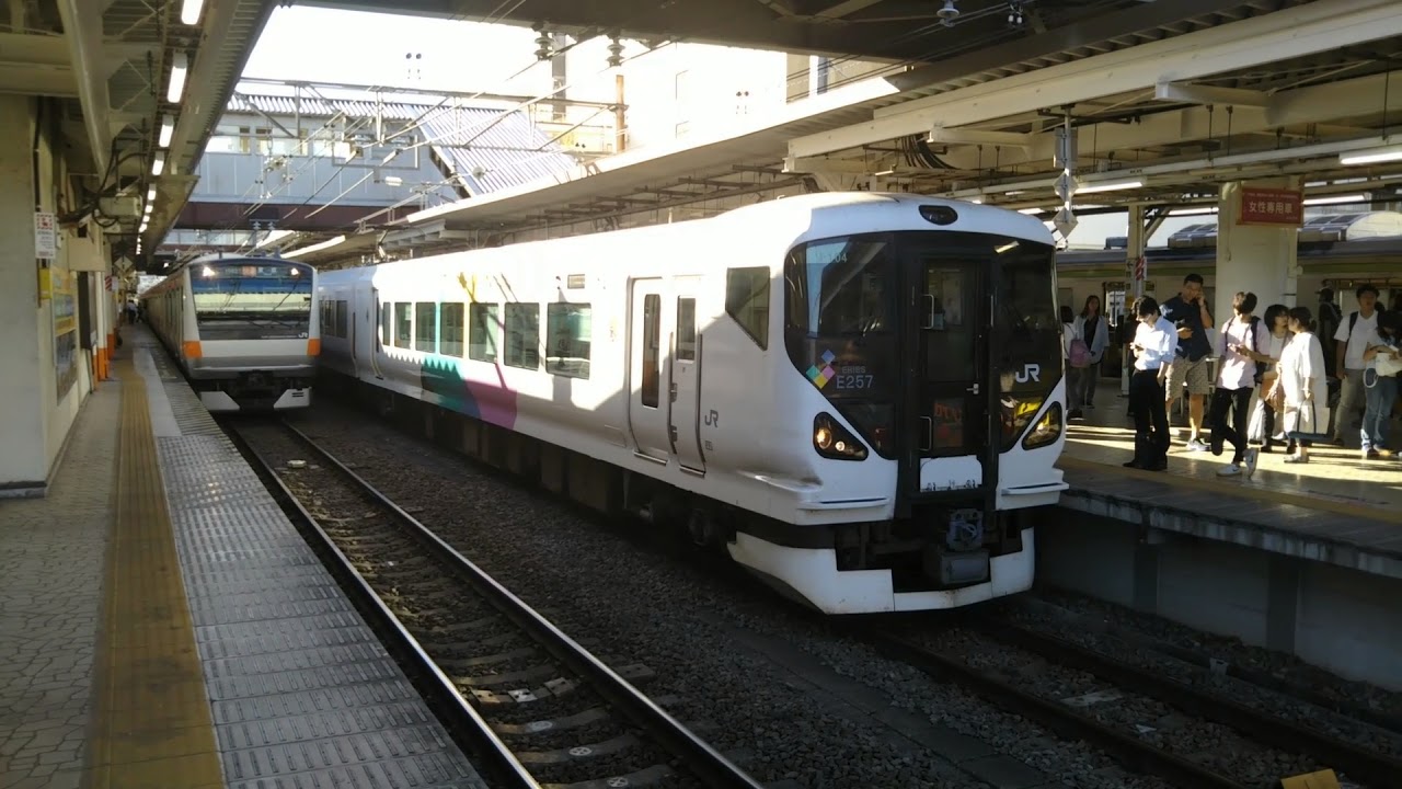 JR東日本 E257系0番台 M-104編成 9両編成 特急 かいじ116号 新宿行 八王子駅 2番線を発車 - YouTube