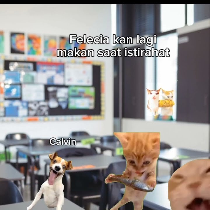 pembully ku ternyata... part 4 #cat #kucingmeme #kucing #sad #sedih ...