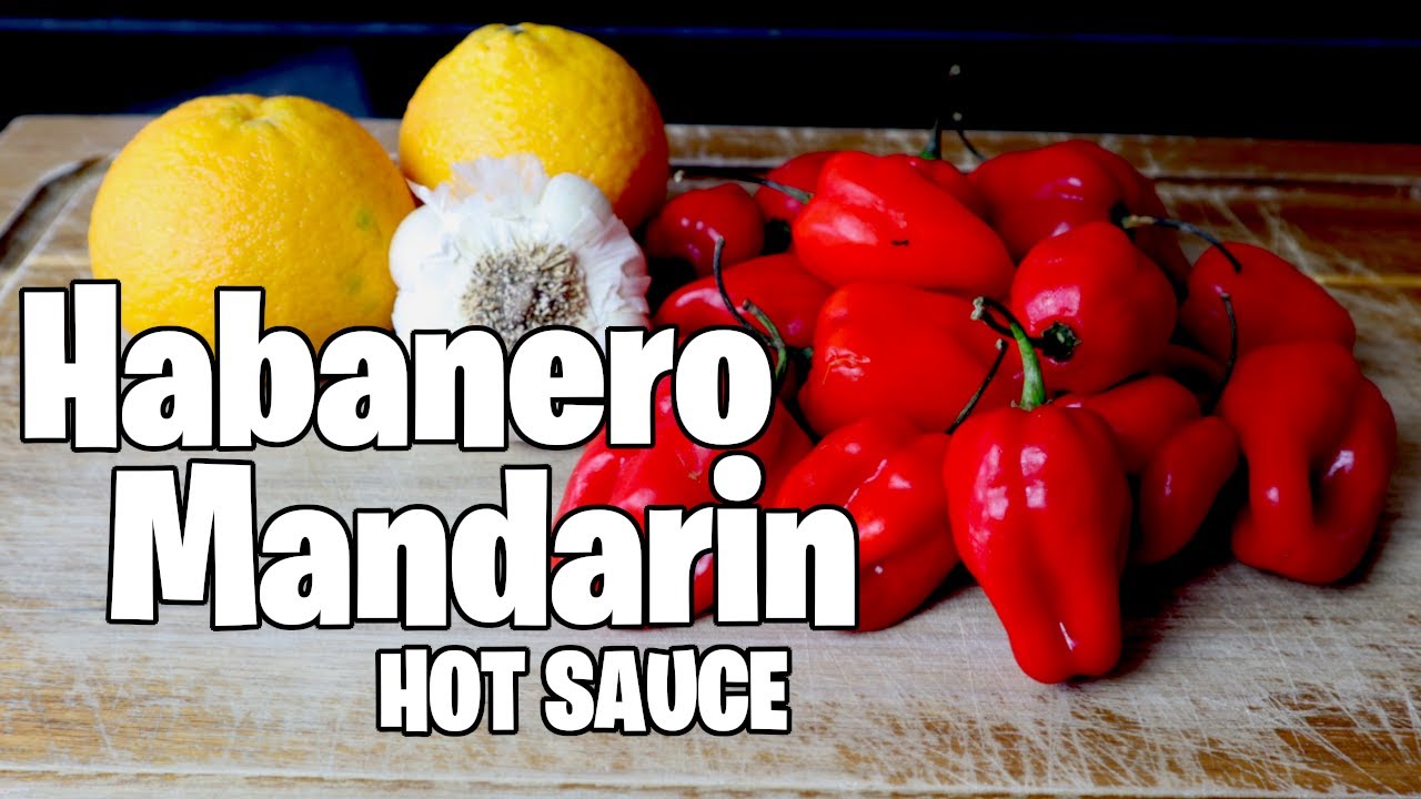 Habanero Mandarin Orange Hot Sauce Recipe - YouTube