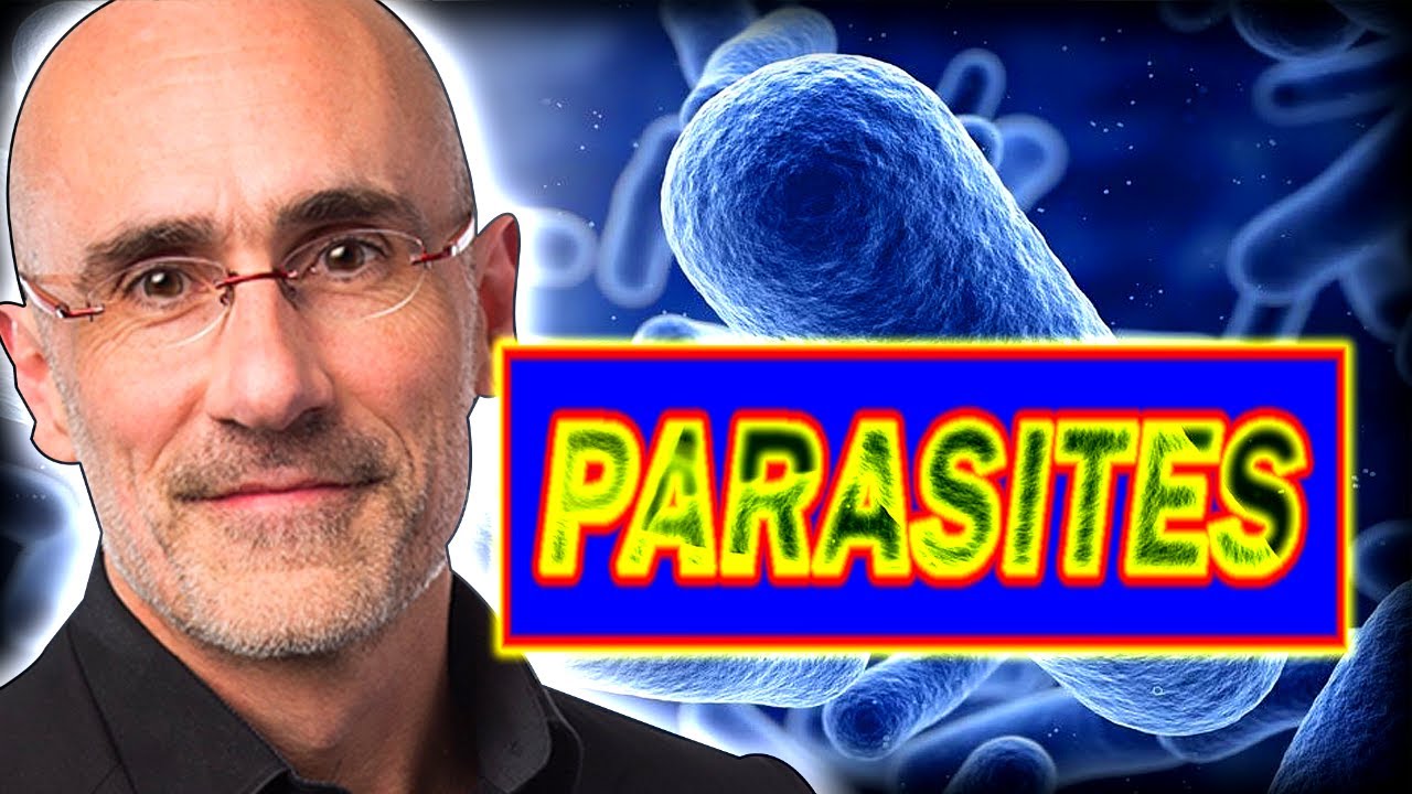 Arthur Brooks DEFENDS a PARASITIC Mixed Economy Instead of Capitalism ...