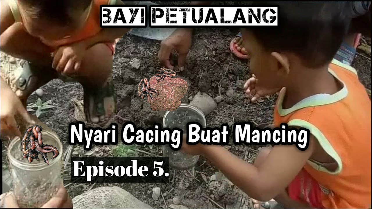 ngakak cari cacing untuk memancing ikan di sungai alam rawa rawa ikan ...