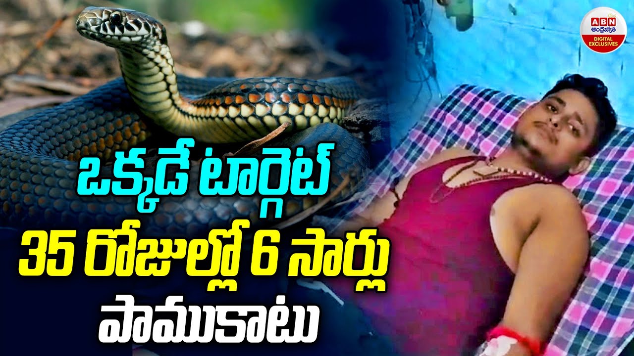 Man Miraculously Survives After Being Bitten by Snake 6 Times in Six ...