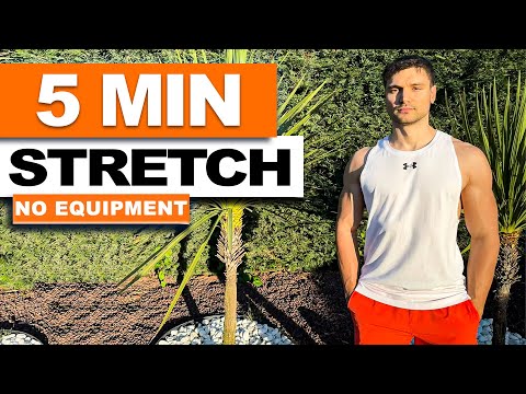 5 Min Stretching Exercises // Full Body Flexibility & Mobility (After Workout) | velikaans