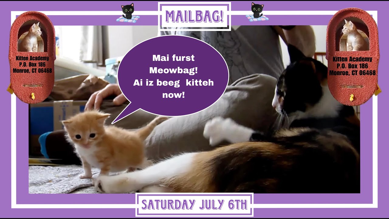 Mailbag - Saturday July 6th - In the annex with Gadget and Crank! - YouTube