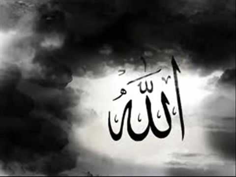 Şəhruz Həbibi   Əbəlfəz ə