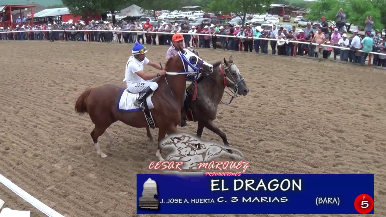 EL CARMELO VS EL DRAGON - YouTube