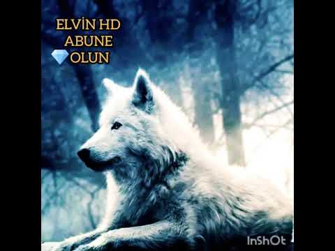 Azeri Bass Muzic ~Çoxunun.axtardığı Rus #.Mahnısı¤