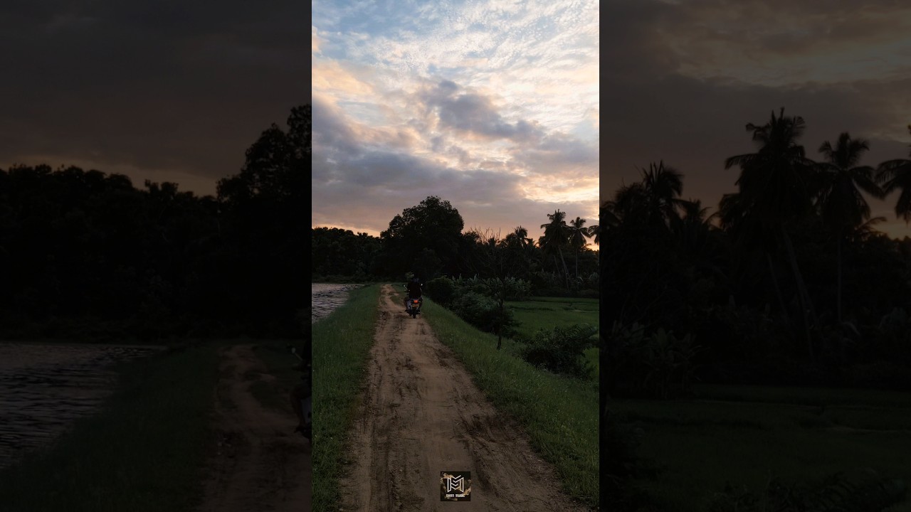 පිරිත් පැන් (Pirith Pan) | Short Cover | #shorts #shortcover #cover # ...