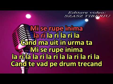 Bade palarie noua, karaoke