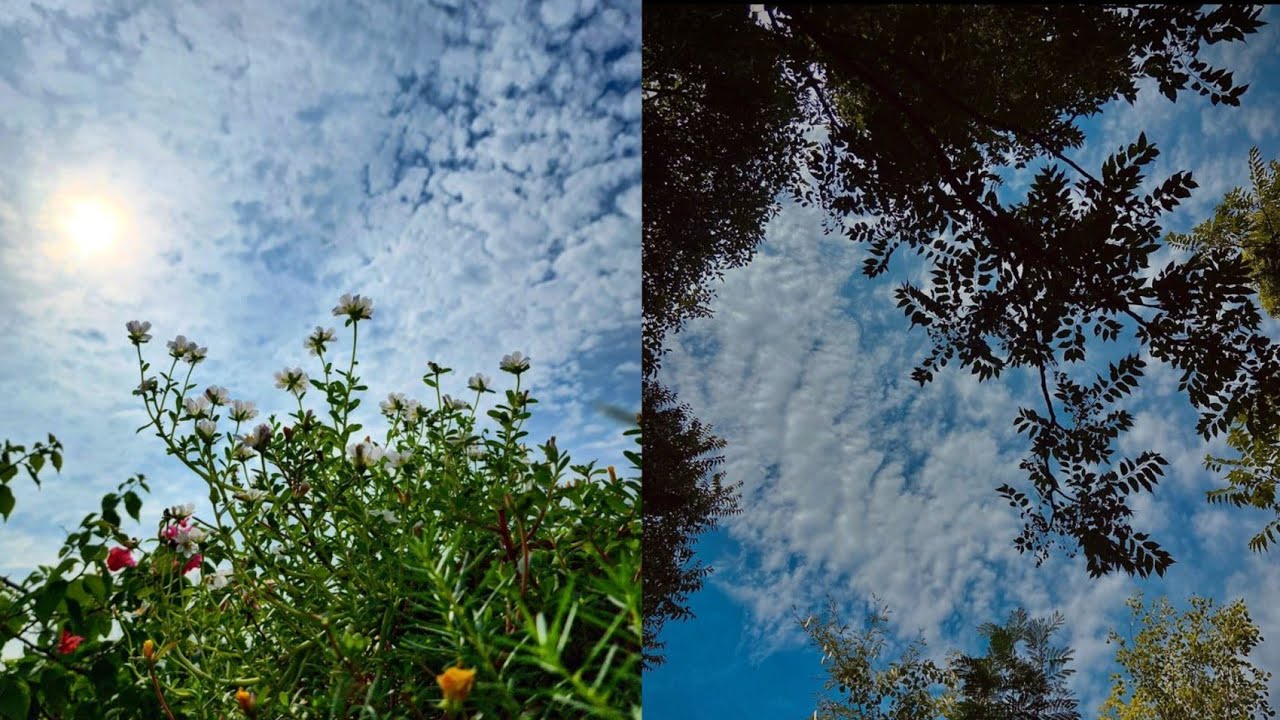 sky background video || sky trending video || sky video |Deep Blue Sky - Clouds Timelapse - YouTube