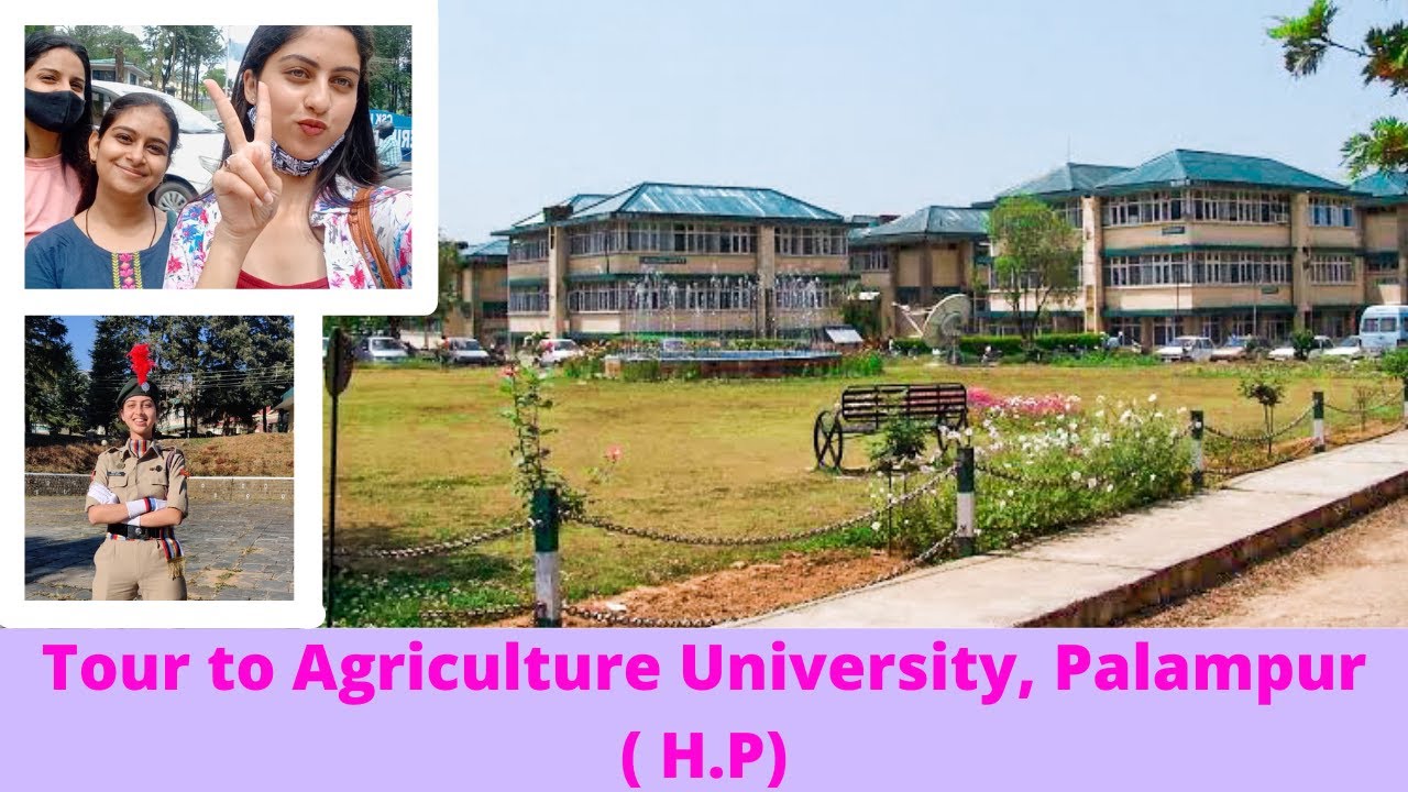 CSKHPKV ( Agriculture University , Palampur ) Himachal Pradesh Campus ...