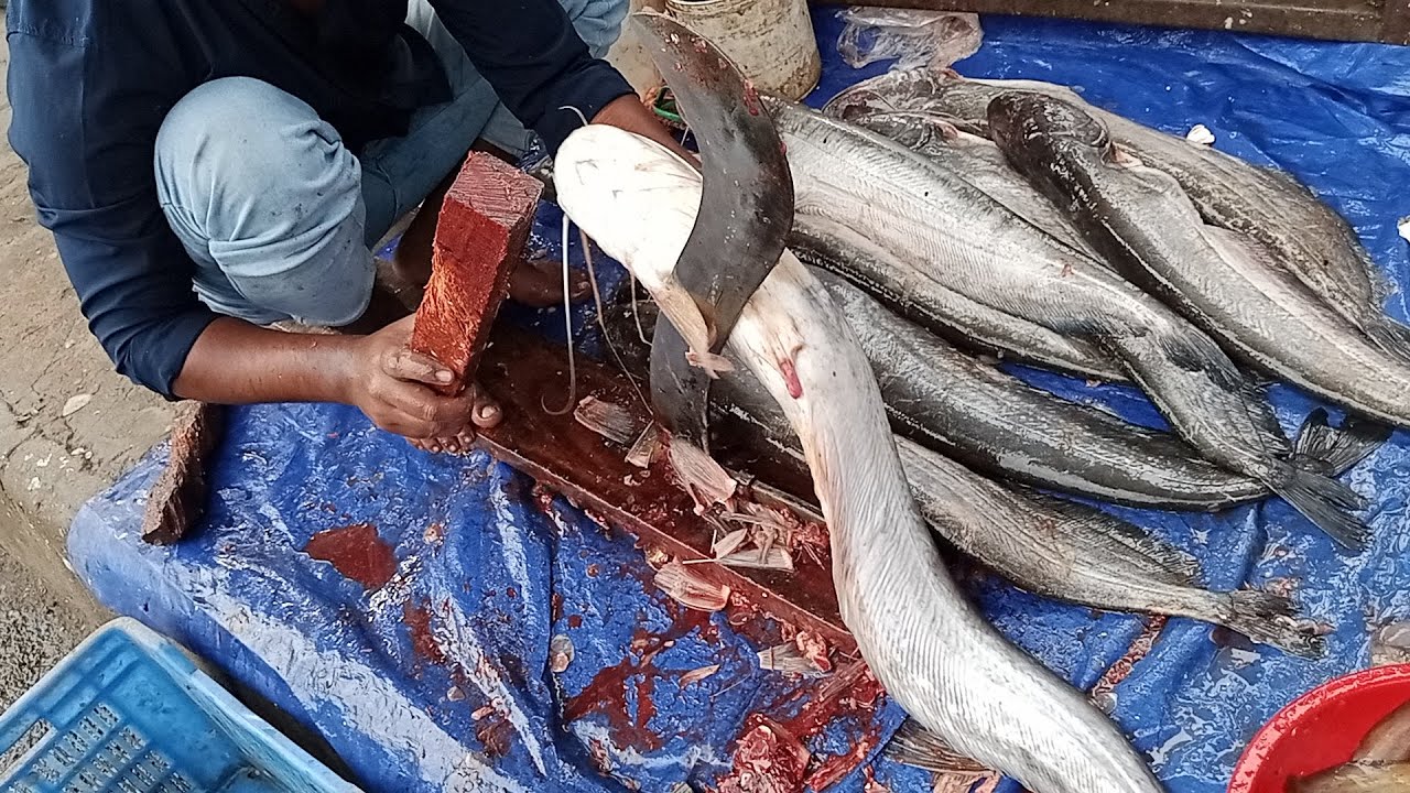 Big Size Boal Fish Cutting By Expert Fish Cutter ll Amazing Boal Fish ...