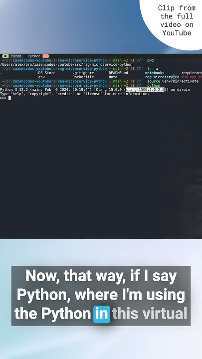 NeoVim python virtual env for LSP support 🤖 Build a Python RAG Microservice - YouTube