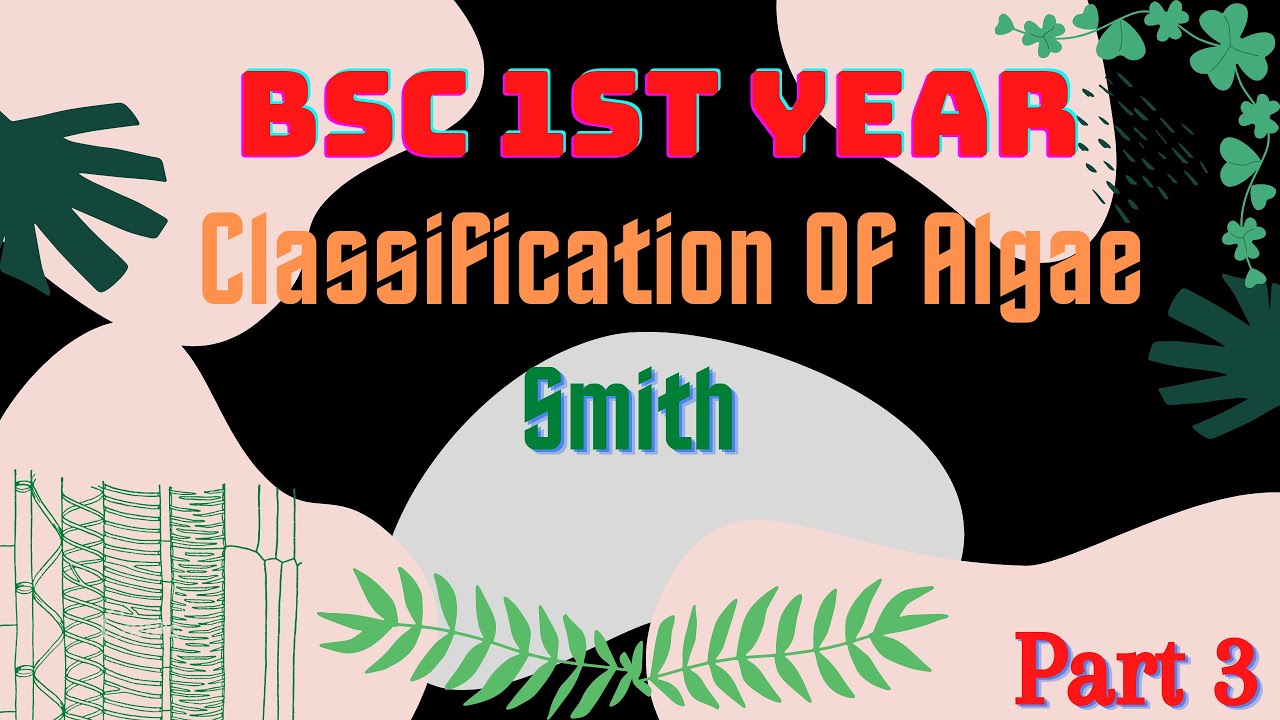 Classification of Algae by Smith | B.Sc 1st Year | Phycology / शैवालों ...