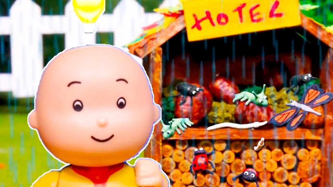 Caillou and the Insect Hotel | Caillou Cartoon - YouTube
