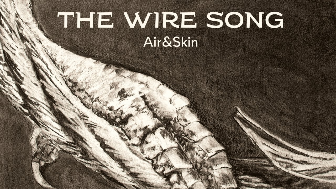 Air&Skin - The wire song - YouTube