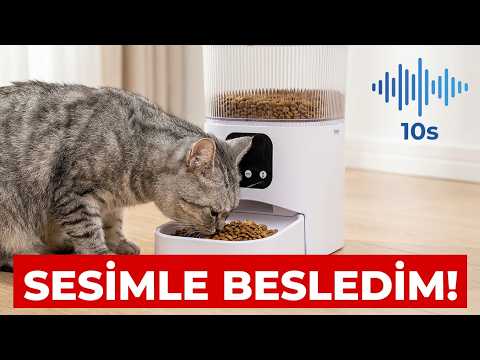 Kiwipets Otomatik Mama Kabı İnceliyoruz