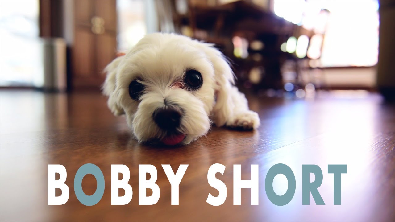 Bobby - A Short Film - YouTube