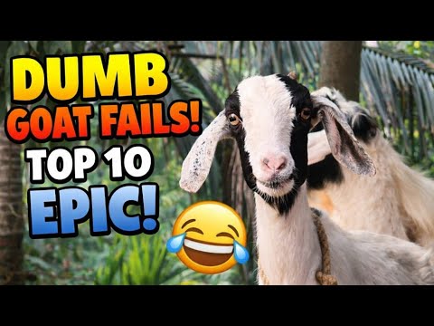 Chingari Aadu  | adu ata adu | dude aadu#aadu