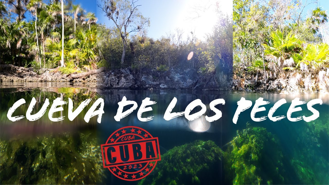 Freediving a Cenote at Bay of Pigs CUBA - YouTube