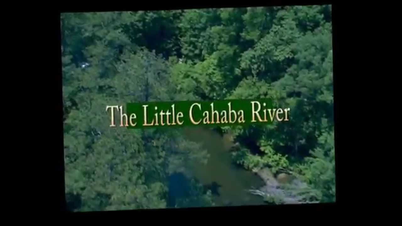 little cahaba video - YouTube