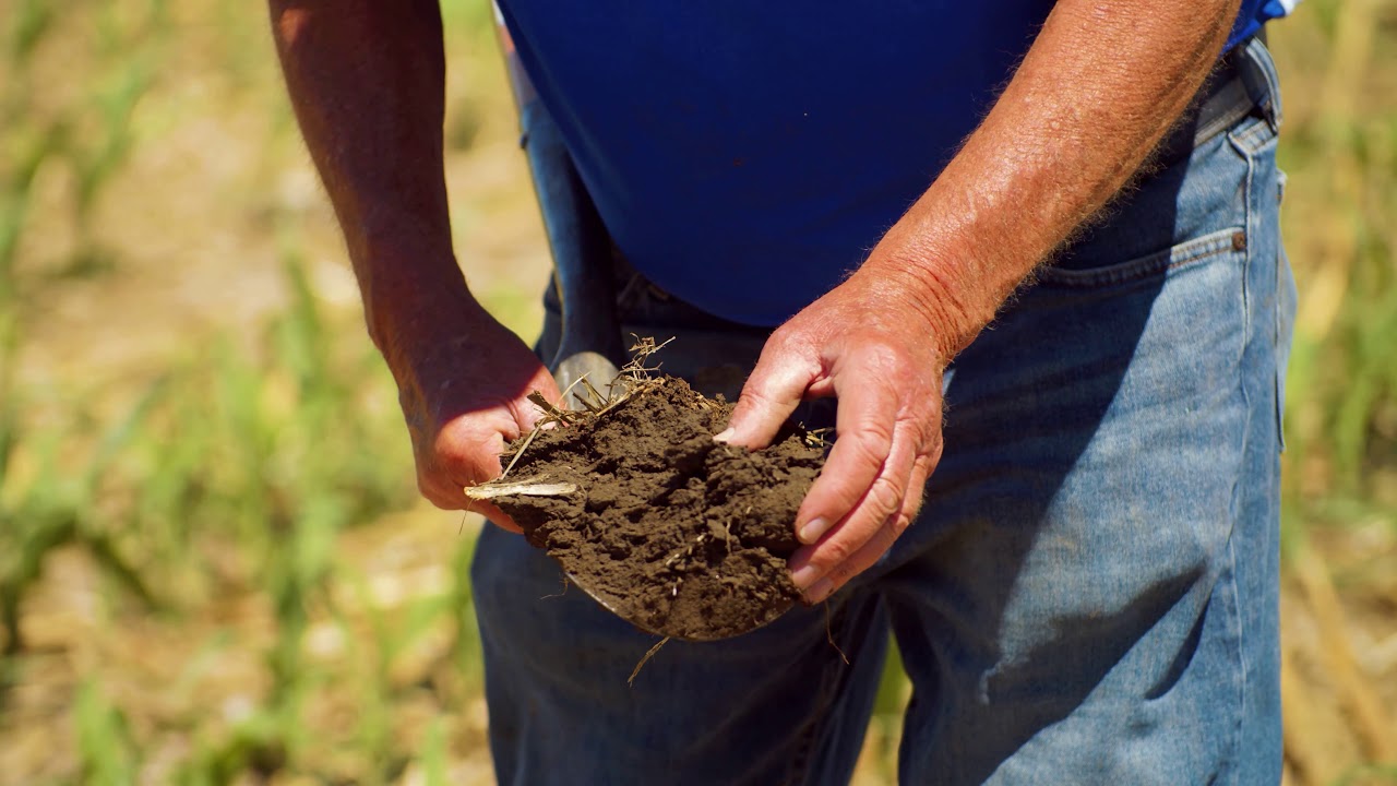 Importance of Synergistic Crop Rotation and the Impact on Soil Health ...