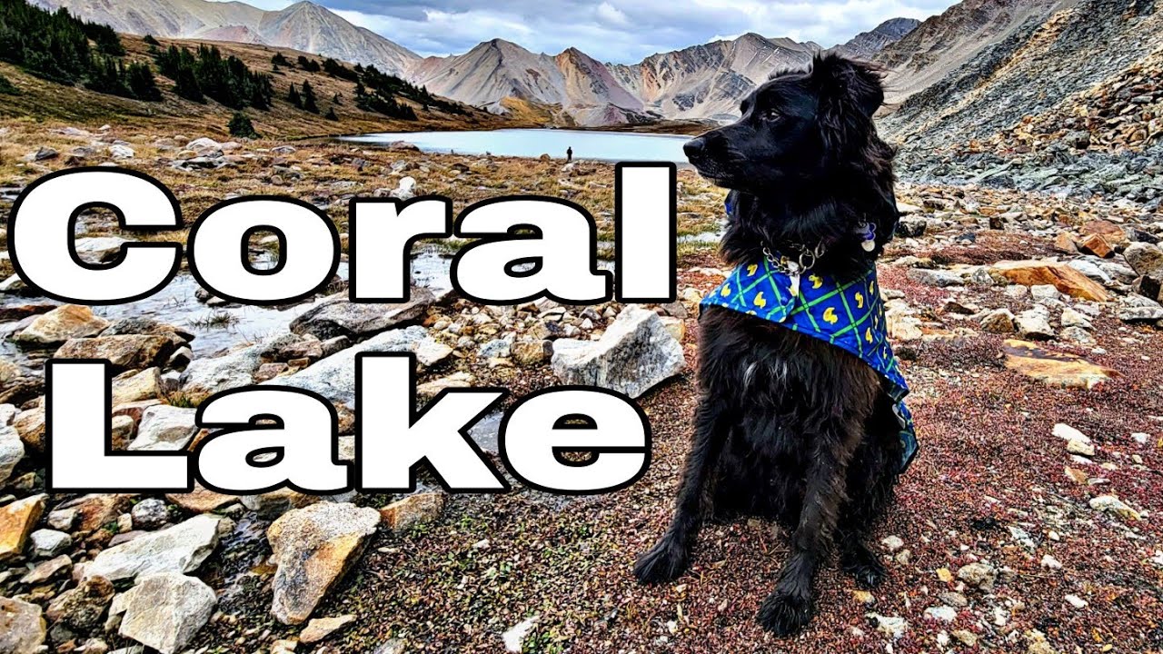Coral Lake | One Of The Best Fall Backpacking Trips I Have Ever Done ...