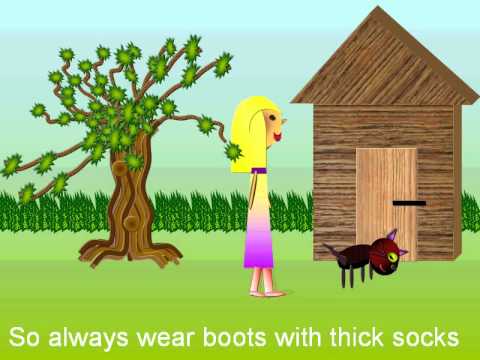 The gardens of the Tick Tock House - YouTube