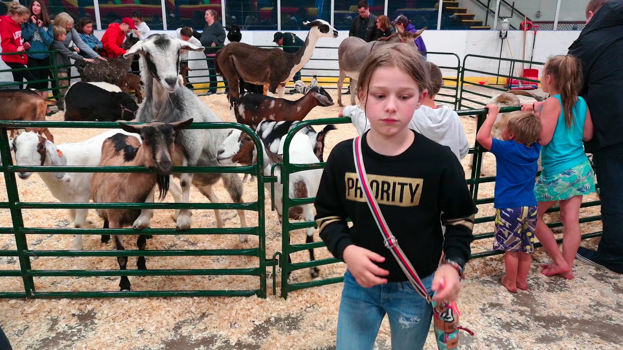 Petting Zoo 2 - YouTube