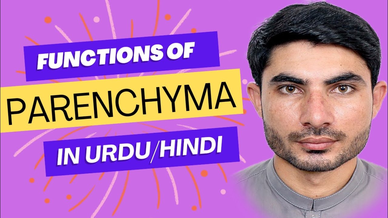 functions of parenchyma in urdu/hindi |abdur Rahman official - YouTube
