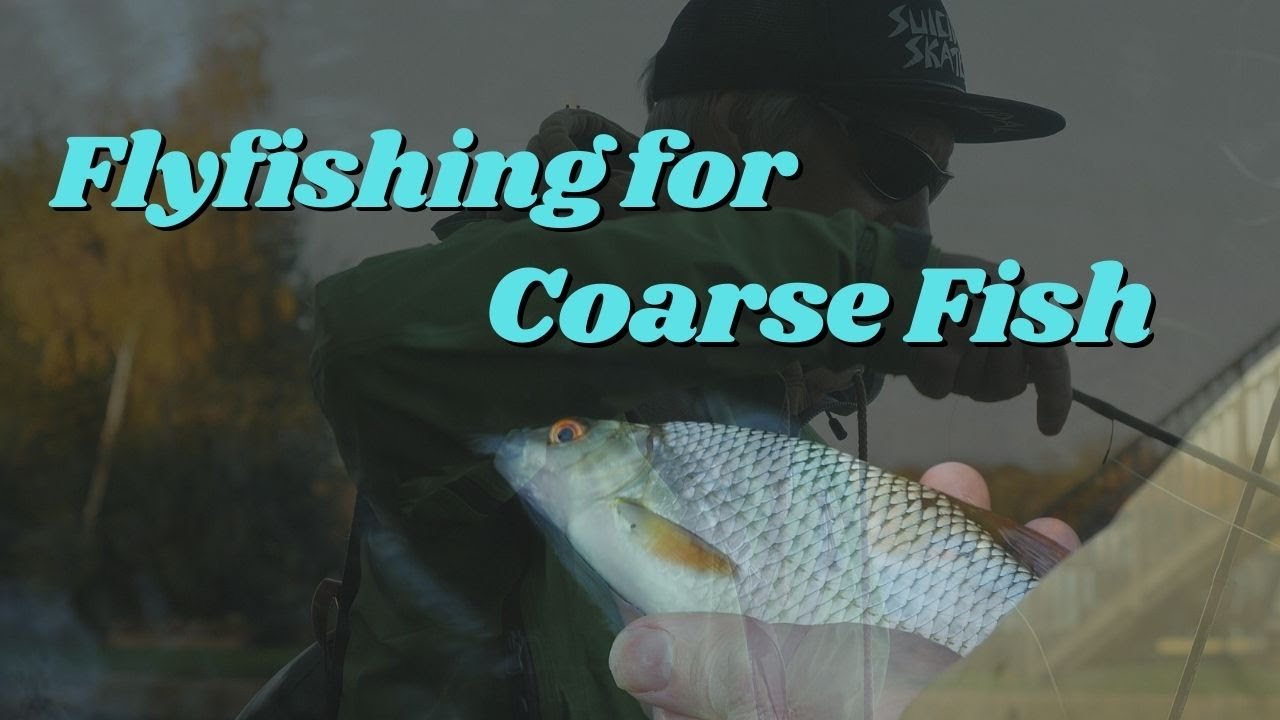 Flyfishing for Coarse Fish : multi species flyfishing - YouTube
