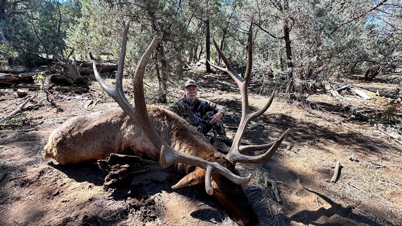 Mike's 2023 Elk - YouTube