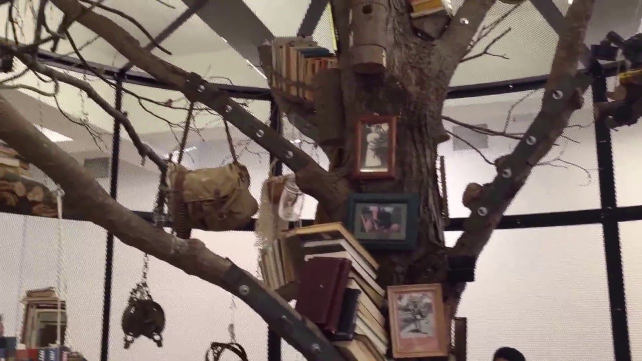 Mark Dion - The Library for the Birds of New York and Other Marvels ...