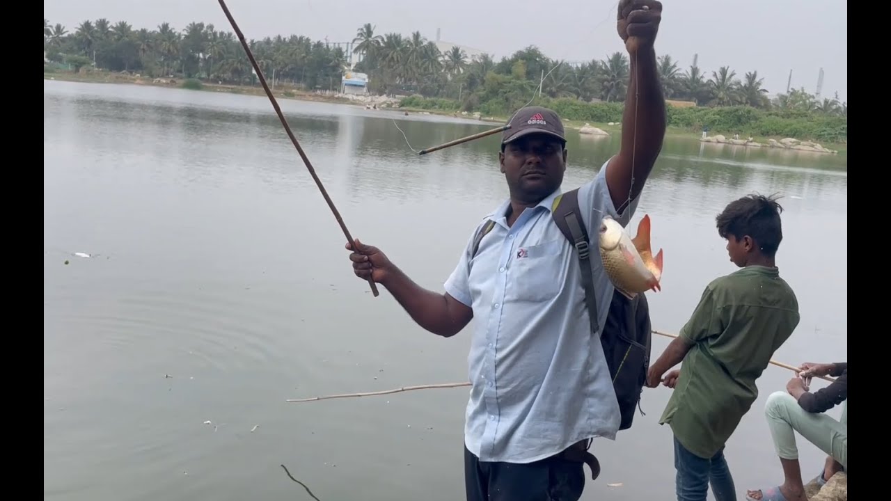 How to Catch Rog Small Fish | Best Fishing Techniques | Fishing With ...