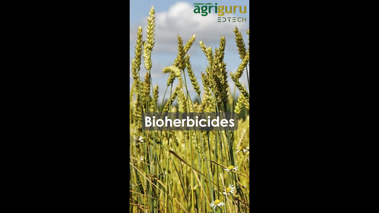 Bioherbicides | Agriculture | - YouTube